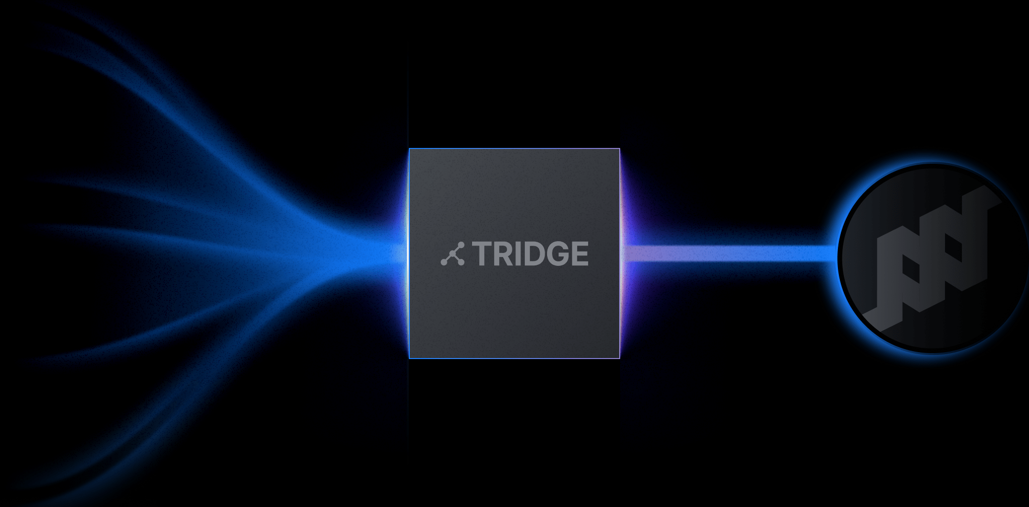 Tridge Market Brief 소개: 글로벌 농산물 무역 데이터